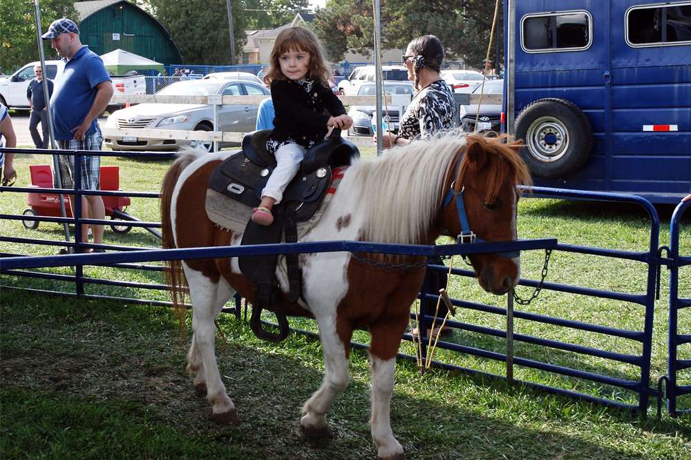 Milton Fair Adds River Town Saints’ Concert to Friday Lineup – Milton ...