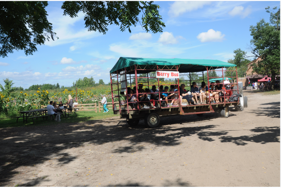 THE AMAZING BERT ANDREWS – Milton Villager